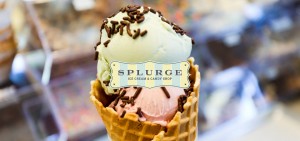 Splurge – Ice Cream at the Orchard
